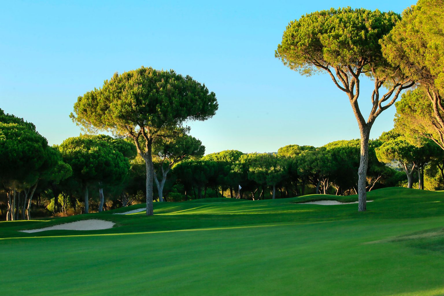 Millennium Golf Course, Vilamoura | Golf Planet Holidays Millennium Golf Course, Vilamoura | Golf Planet Holidays