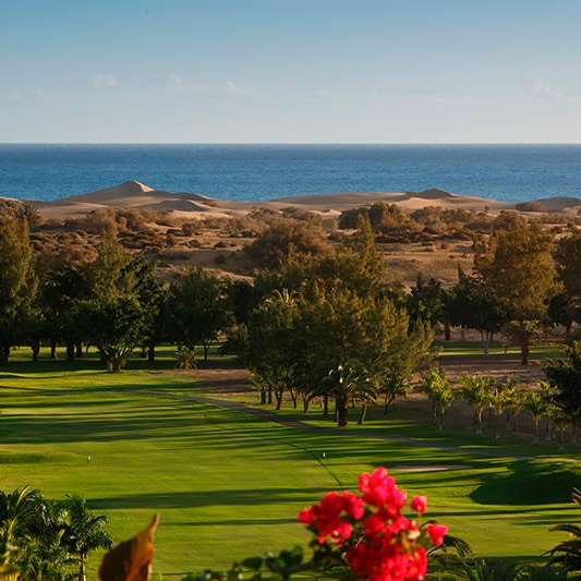 Maspalomas Golf Club, Gran Canaria | Golf Planet Holidays